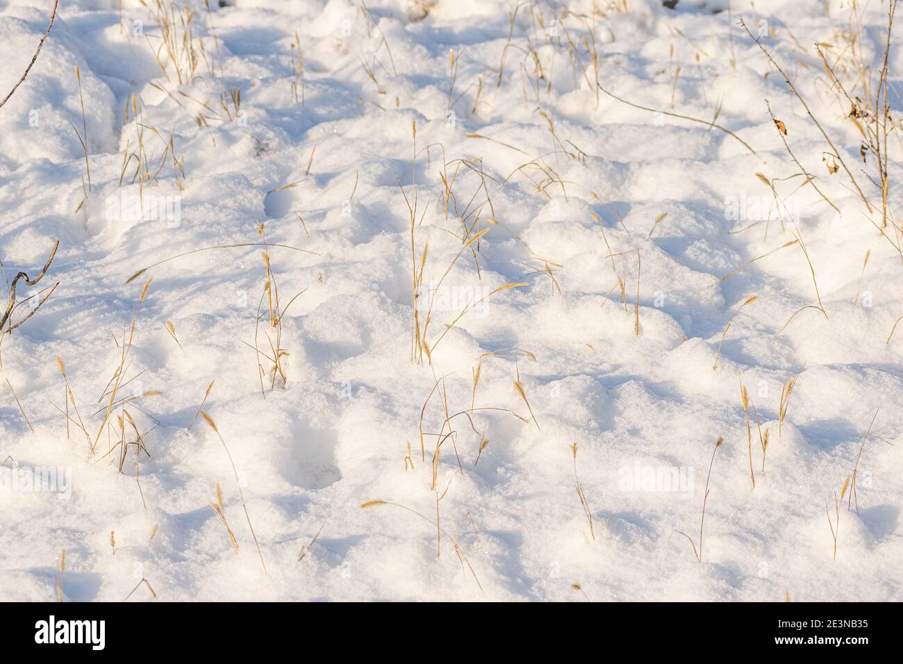 Fresh and clean show on the ground background 21 Stock Photo - Alamy