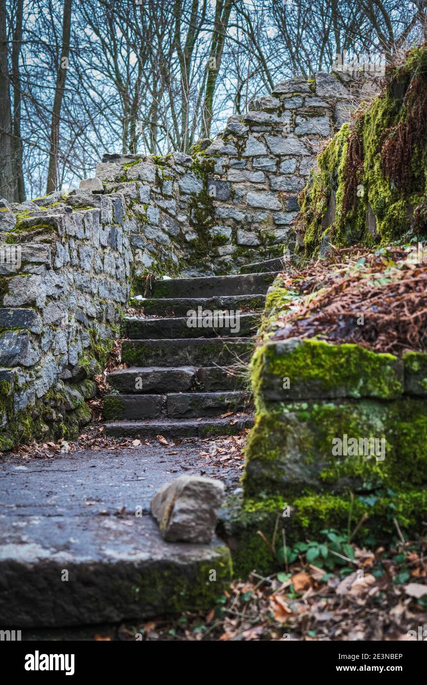 Remains of a staircase in a castle ruin in winter Stock Photo - Alamy