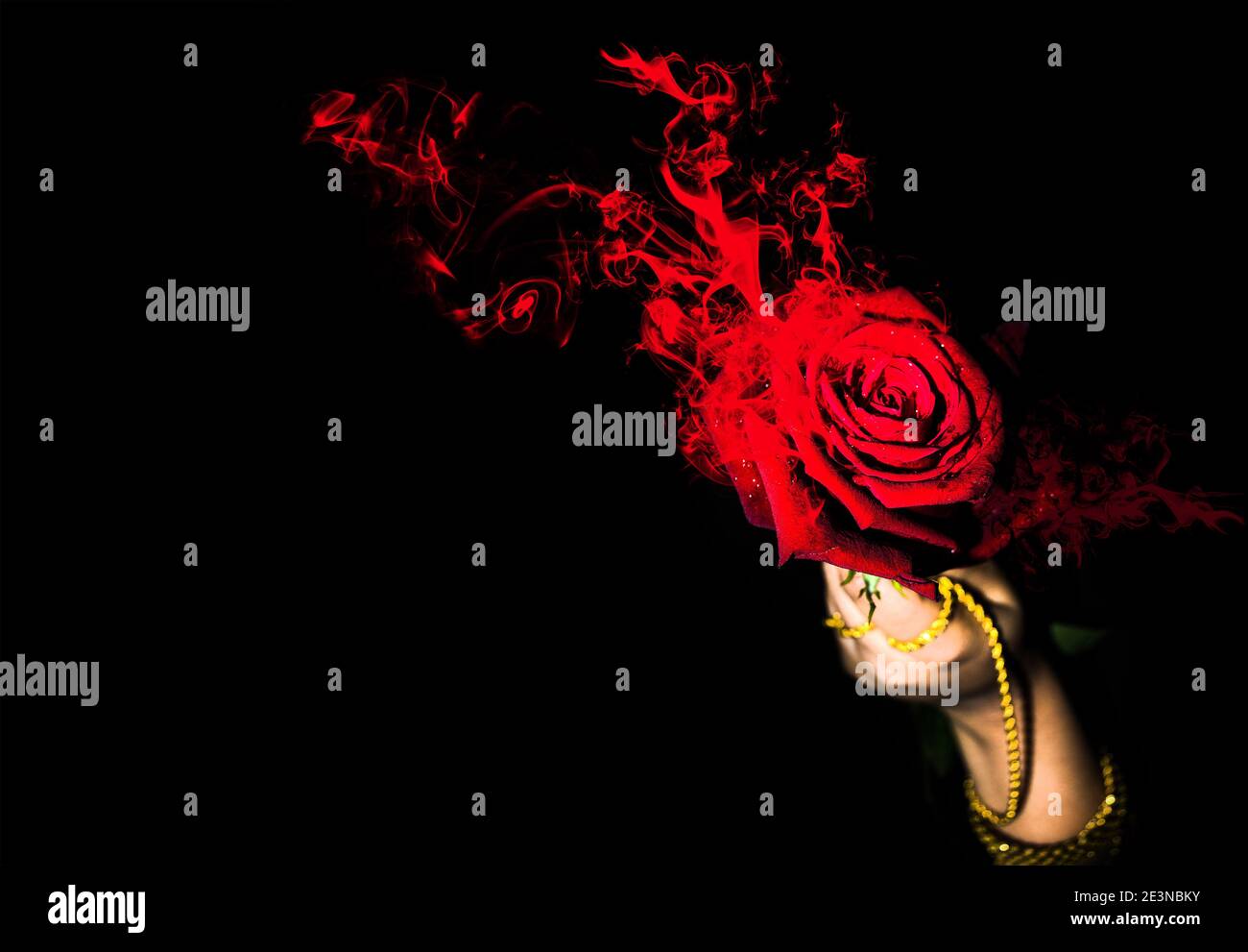 Woman's hand with gold bangles holding red rose, Valentin'es day ...