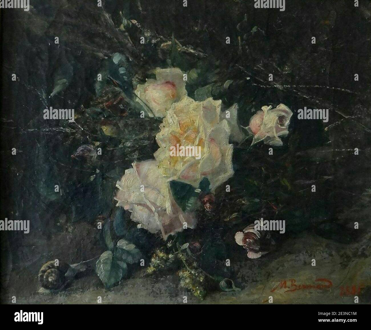 Marie Bermond Roses 1885 Stock Photo - Alamy