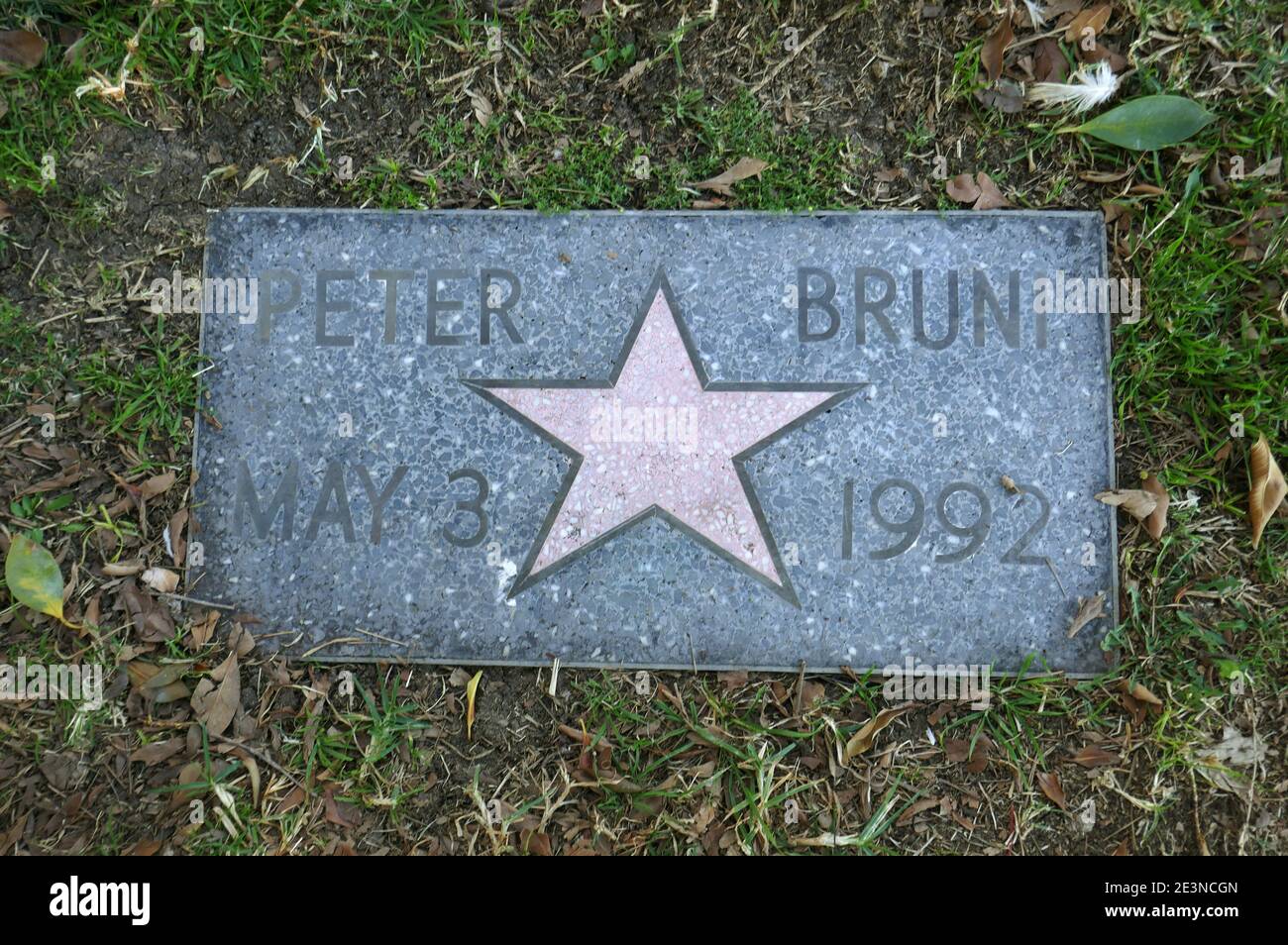 Los Angeles, California, USA 17th January 2021 A general view of ...