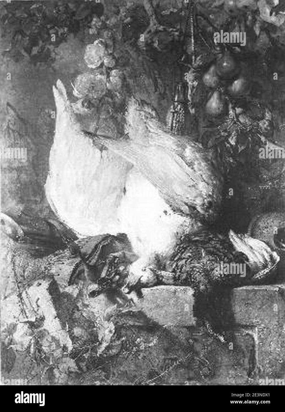 Maria Vos - Stilleven met gevogelte Stock Photo - Alamy