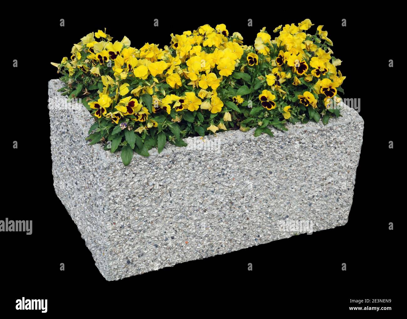 Concrete border decorative flower bed hi-res stock photography and ...