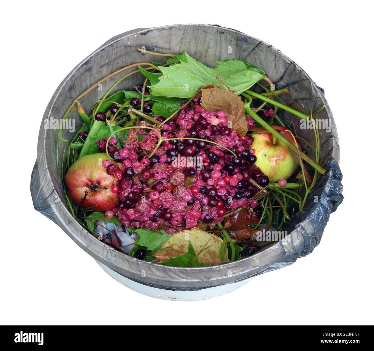 Plastic bucket with organic fruits and vegetable waste. Isolated on ...