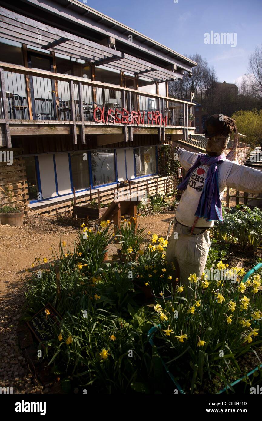 Ouseburn Farm, Byker, Tyne and Wear Stock Photo - Alamy