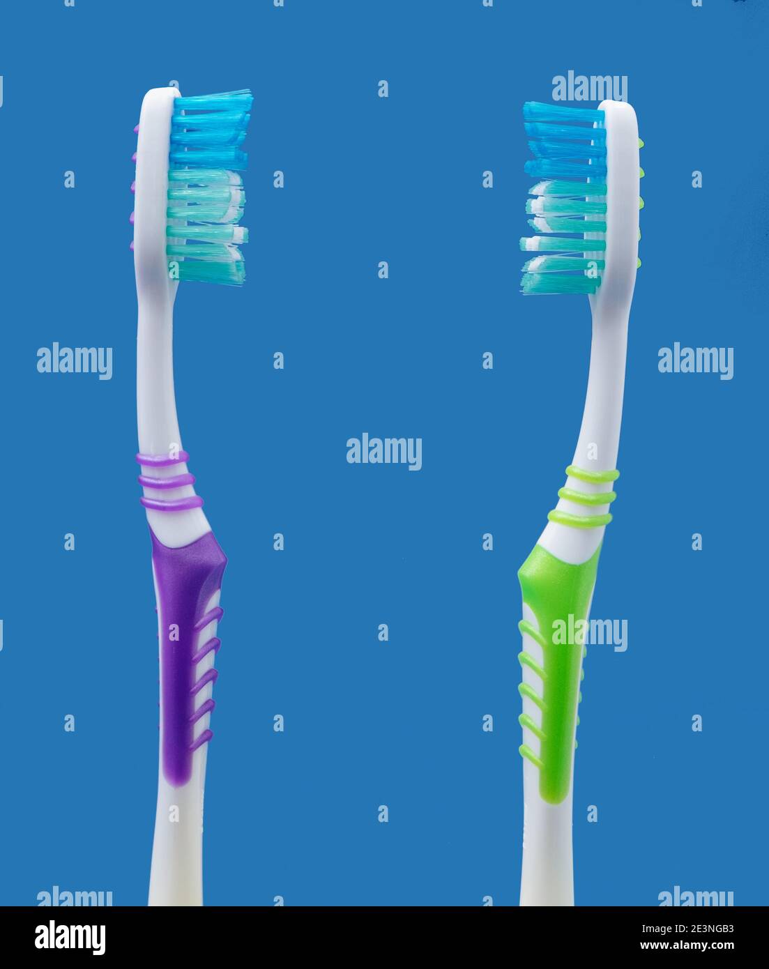 Couple concept with two toothbrushes facing each other on blue ...