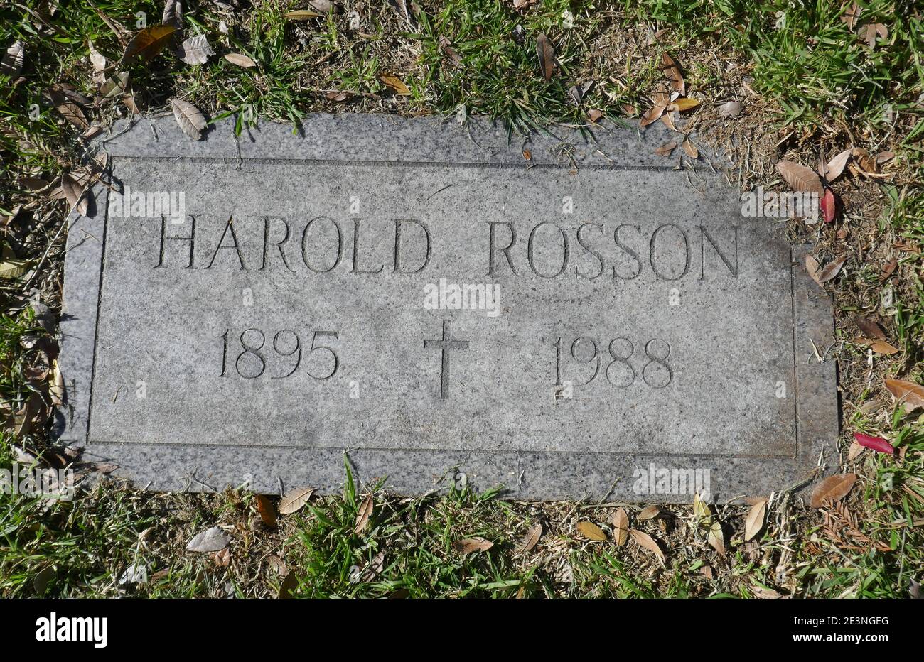 Hollywood, California, USA 17th January 2021 A general view of ...