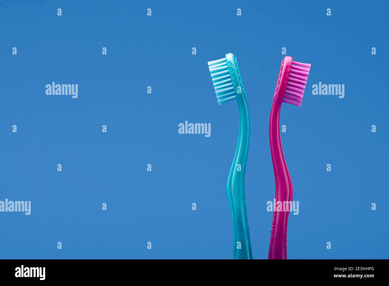 Pink and blue toothbrushes arranged like male female couple in ... Pink and blue toothbrushes arranged like male female couple in ...