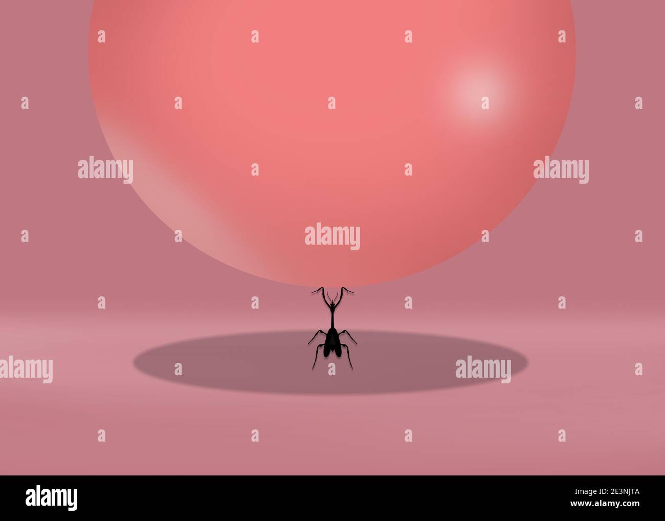 Successful conceptual hi-res stock photography and images - Alamy