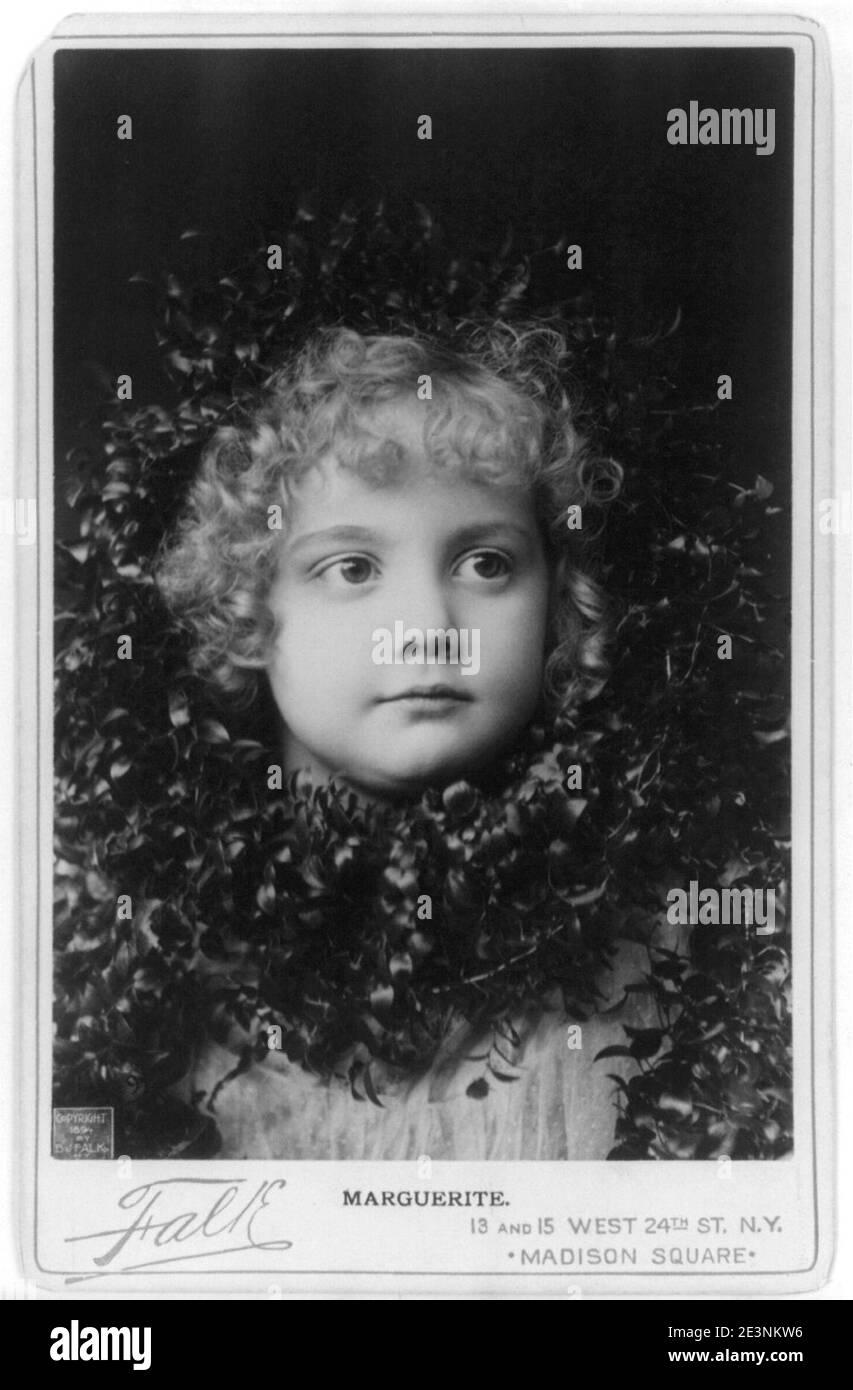 Marguerite Black and White Stock Photos & Images - Alamy