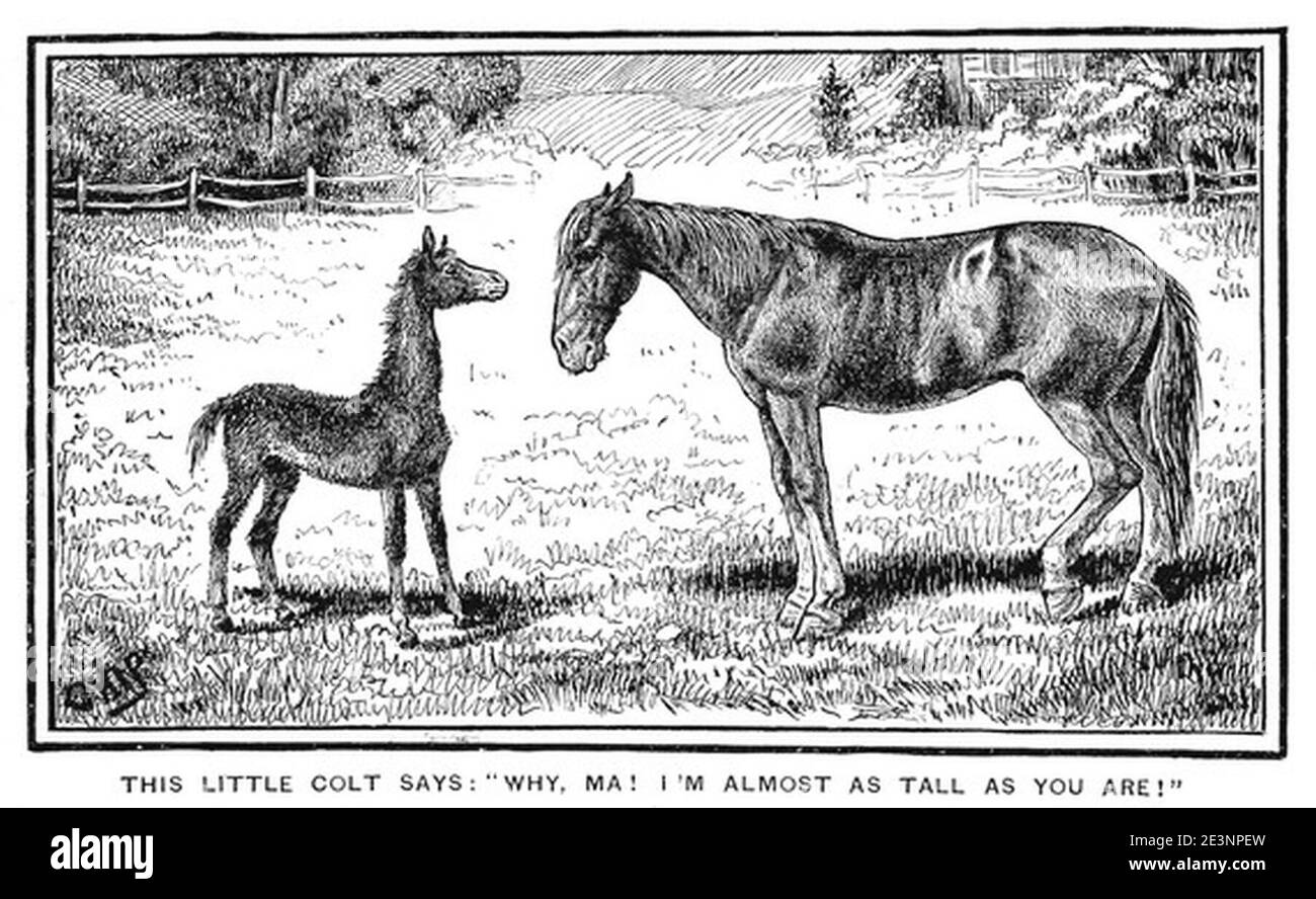 Mare and Foal Drawing Stock Photo - Alamy