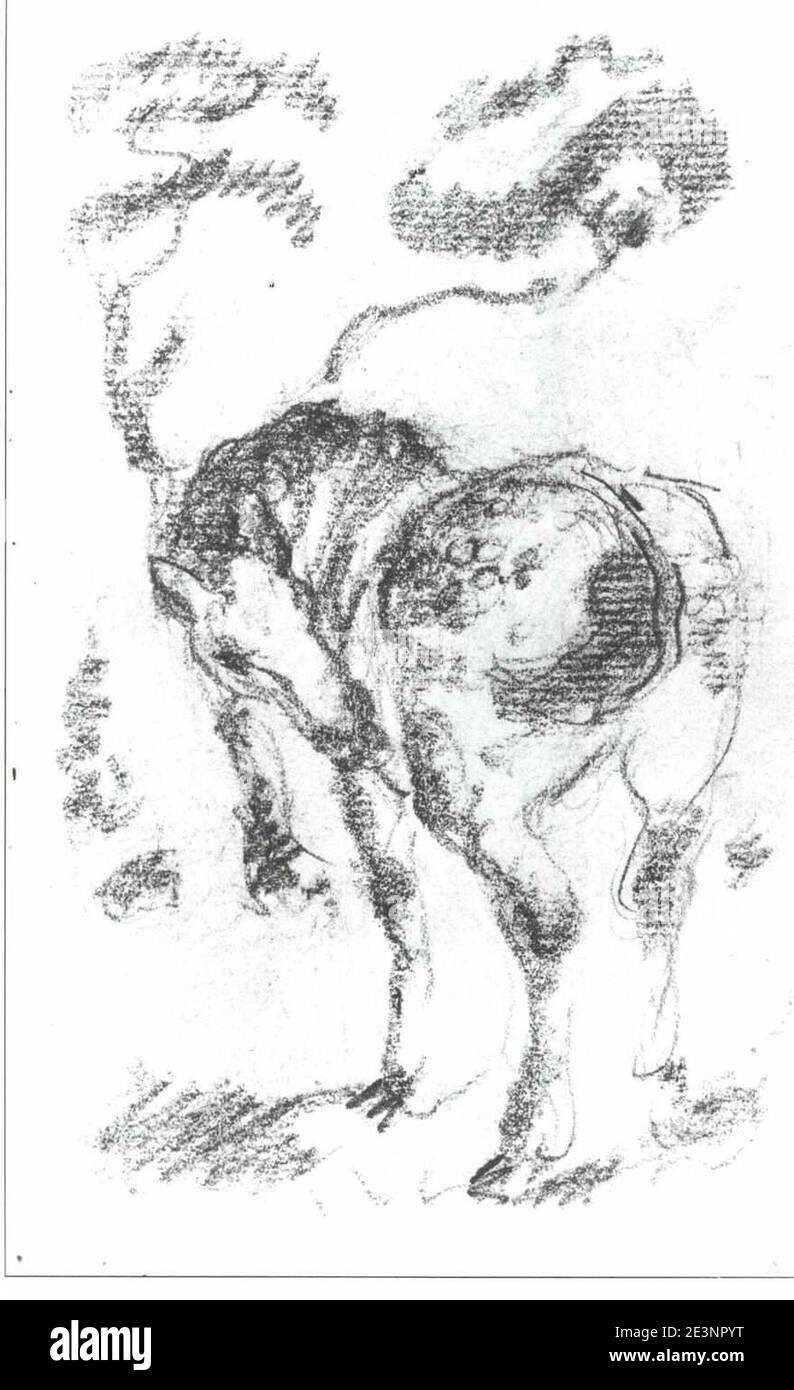 Stehendes pferd hi-res stock photography and images - Alamy