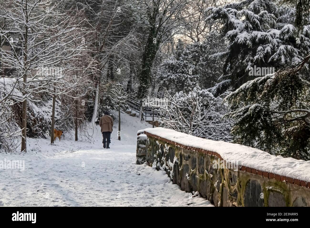 Macka democracy park hi-res stock photography and images - Alamy