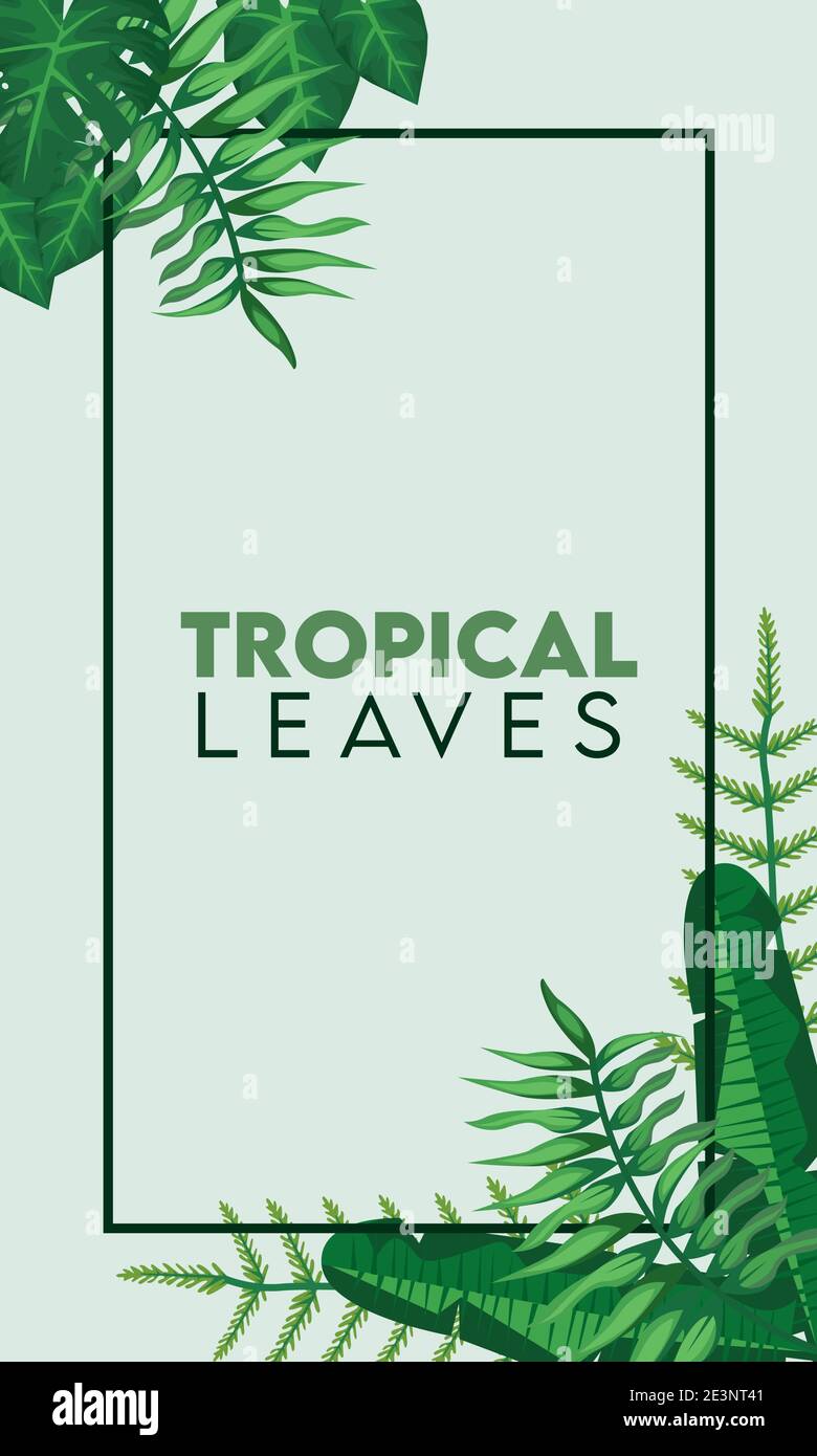 tropical leaves lettering poster with leafs in square frame vector ...