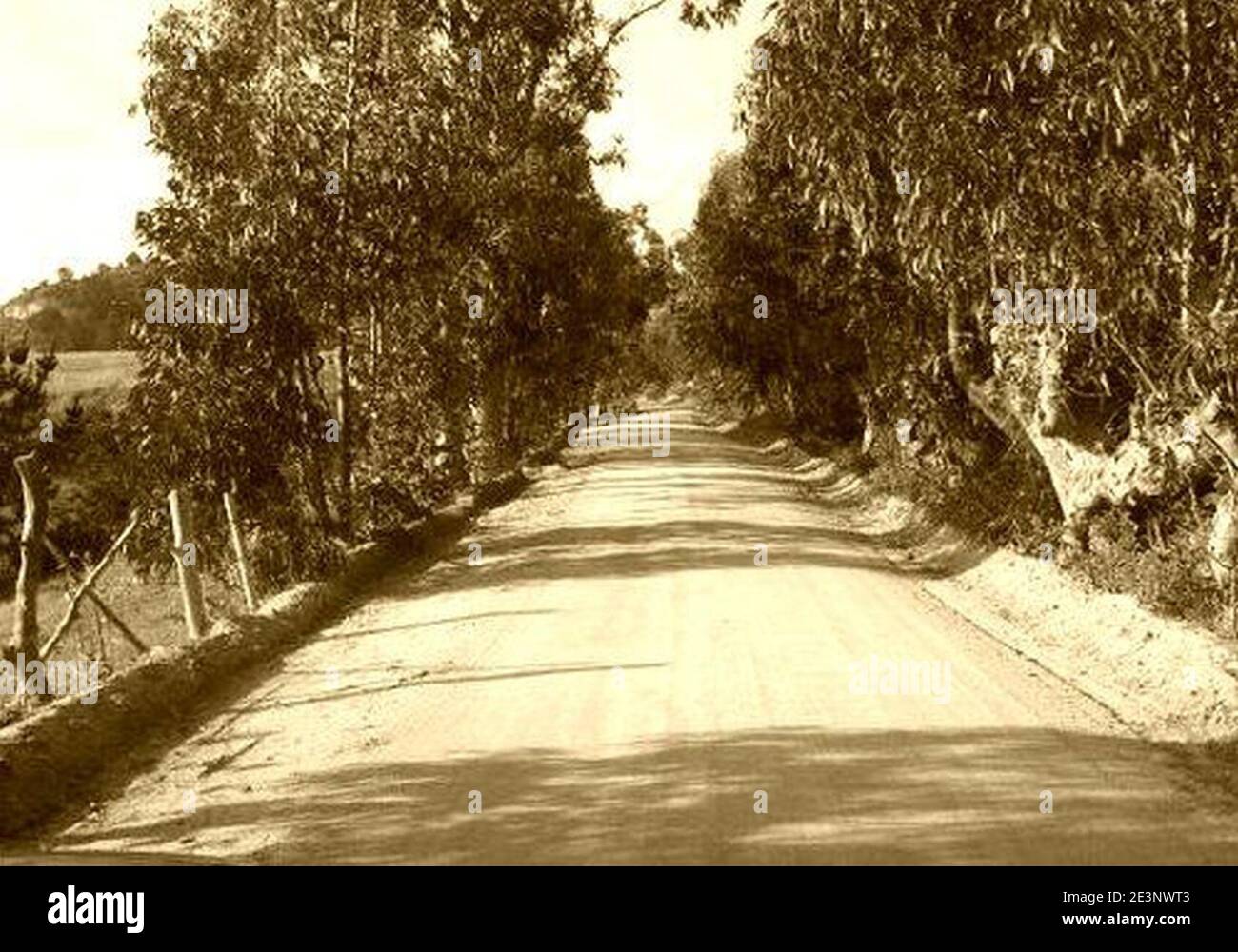 Marchan hi-res stock photography and images - Alamy