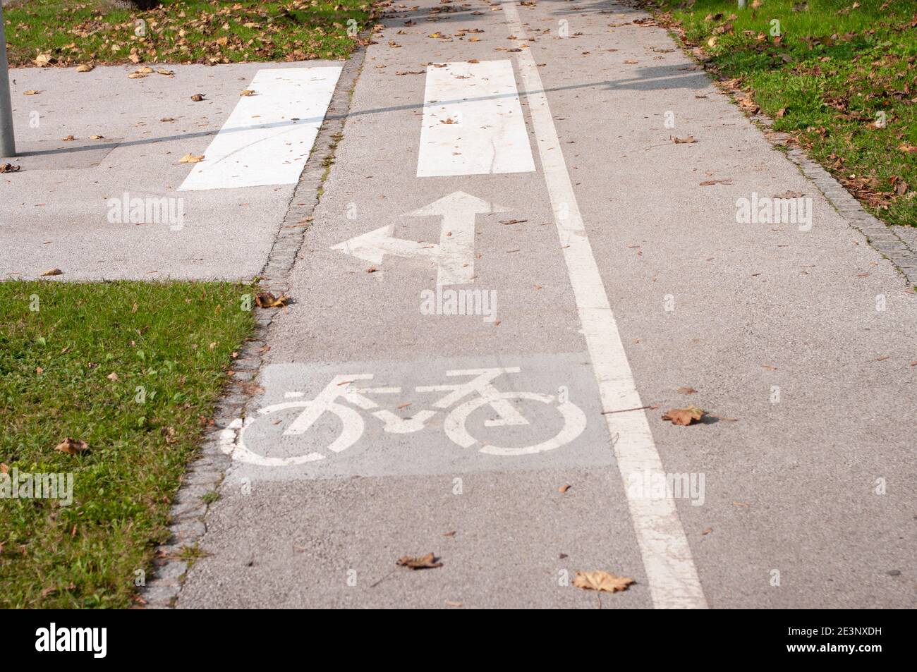 Bicycle road sign and arrow, path for bike in the city Stock Photo - Alamy
