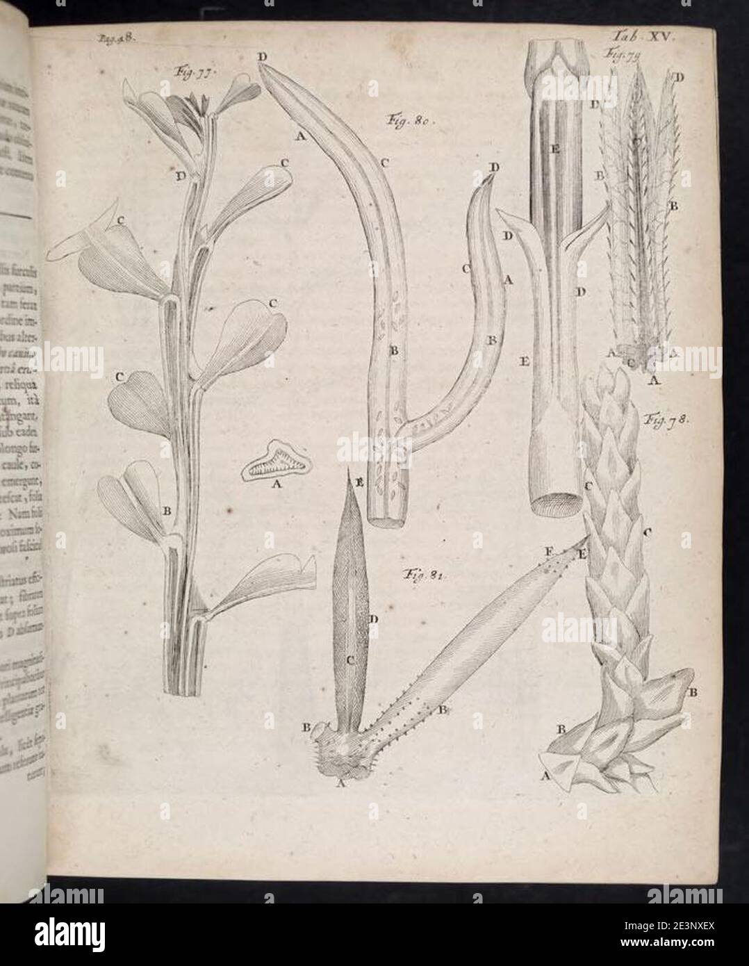 Marcelli Malpighii ... Opera omnia, seu, Thesaurus locupletissimus ...