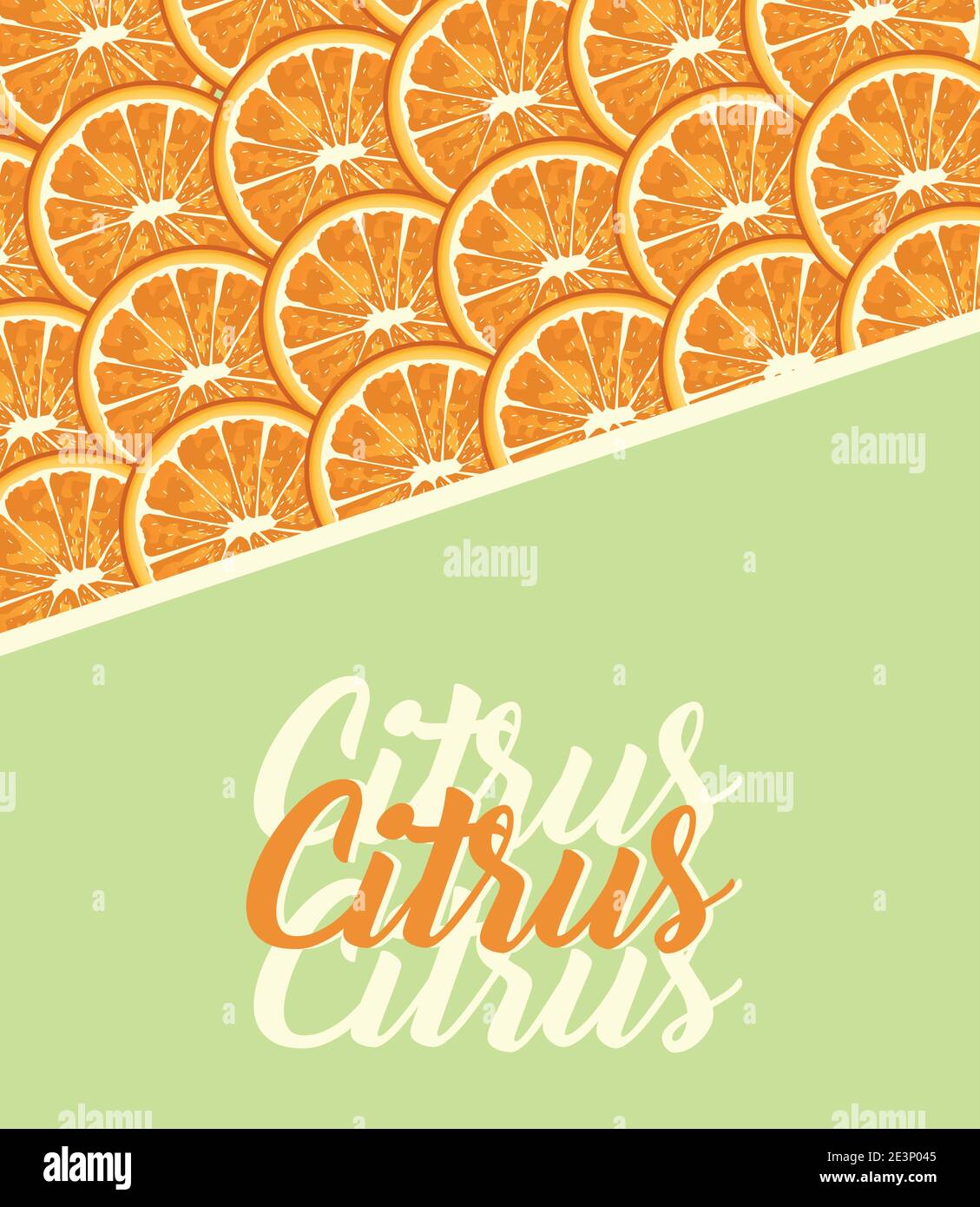 citrus fruit poster with lettering and oranges pattern vector ...