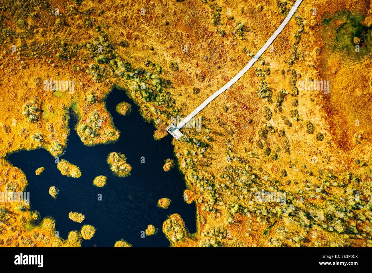Miory District, Vitebsk Region, Belarus. The Yelnya Swamp. Aerial View ...