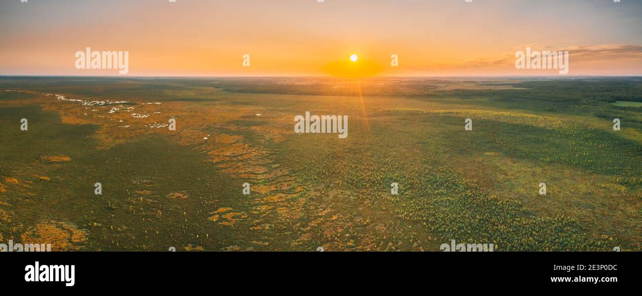 Miory District, Vitebsk Region, Belarus. The Yelnya Swamp. Upland And ...