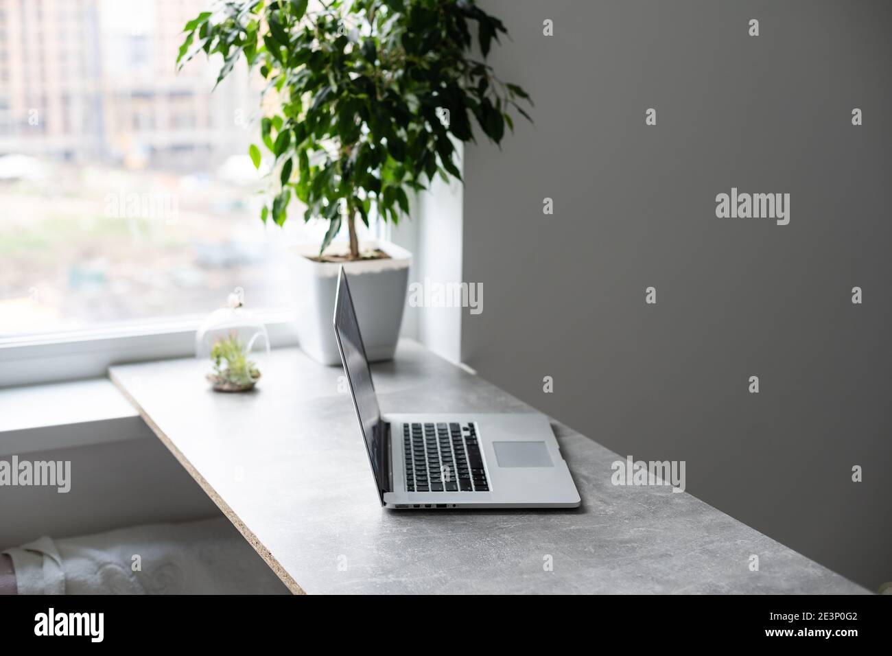 Comfortable working place. Close-up of comfortable working place in ...