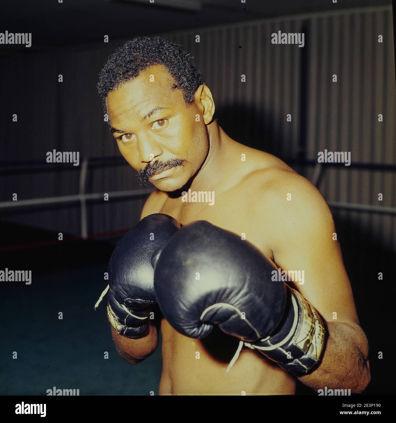 Boxer Jose Napoles training, Lyon, France Stock Photo - Alamy