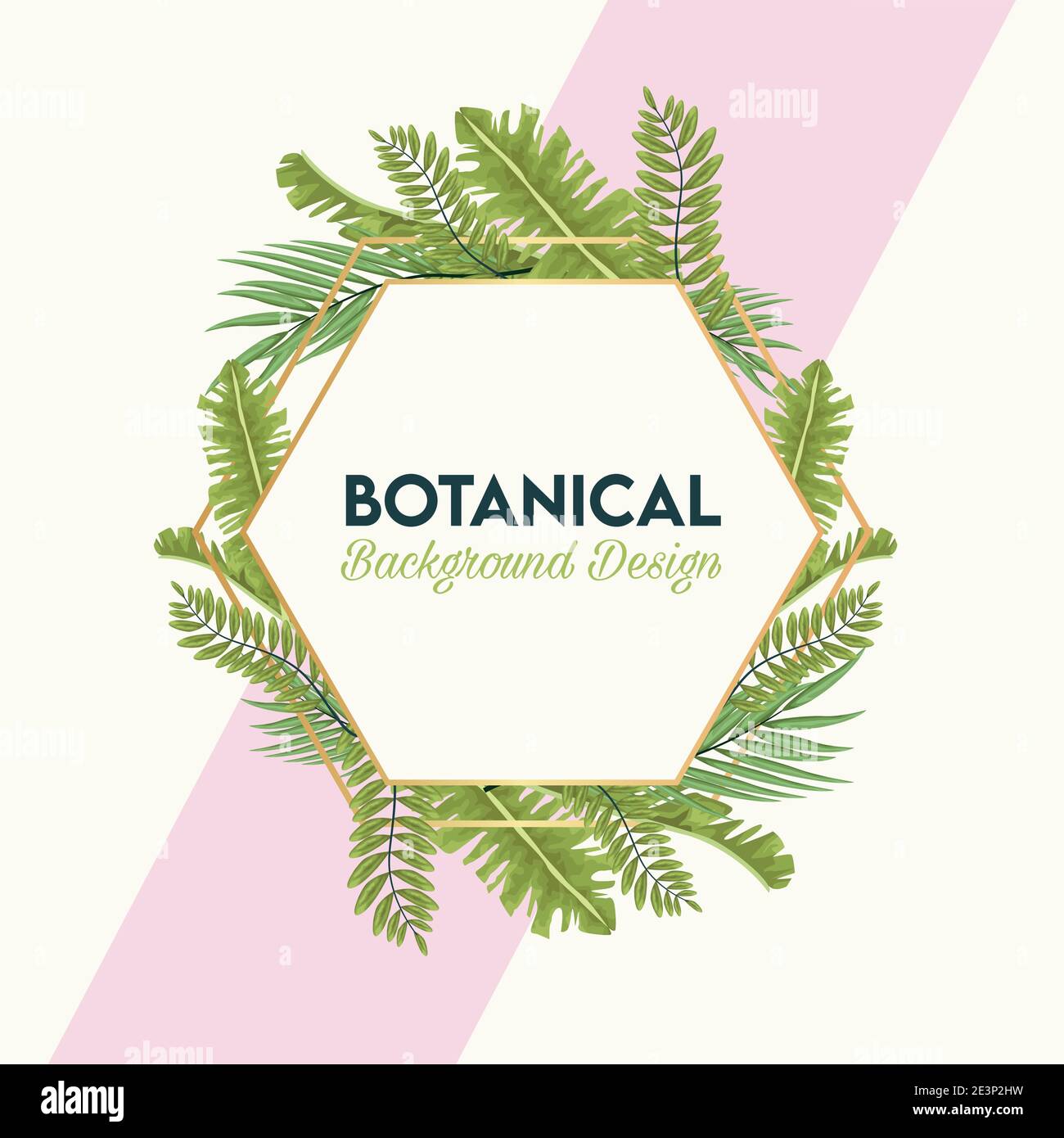 botanical lettering in poster with leafs in hexagon frame vector ...