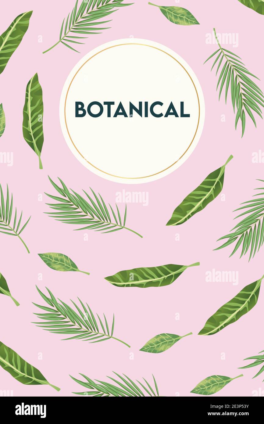 botanical lettering in poster with green leafs in circular frame vector ...