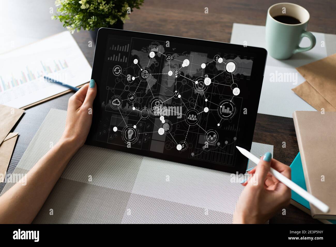 Business organizational structure, strategy development, ERP ...