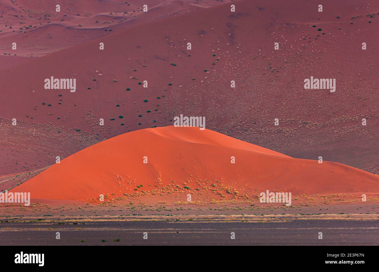 Namib desert, Namib Naukluft National Park, Namibia, Africa Stock Photo ...