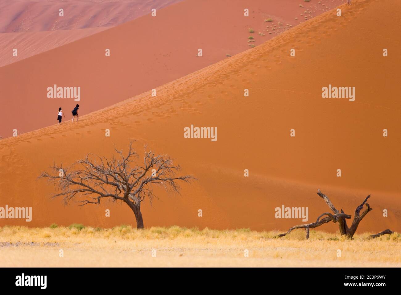 Duna 45 desierto namib namibia africa hi-res stock photography and ...
