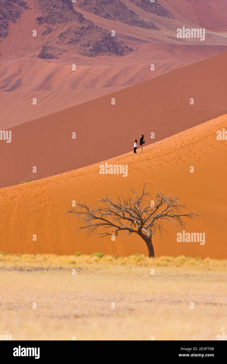 Duna 45 Desierto Namib Namibia Africa Stock Photo - Alamy