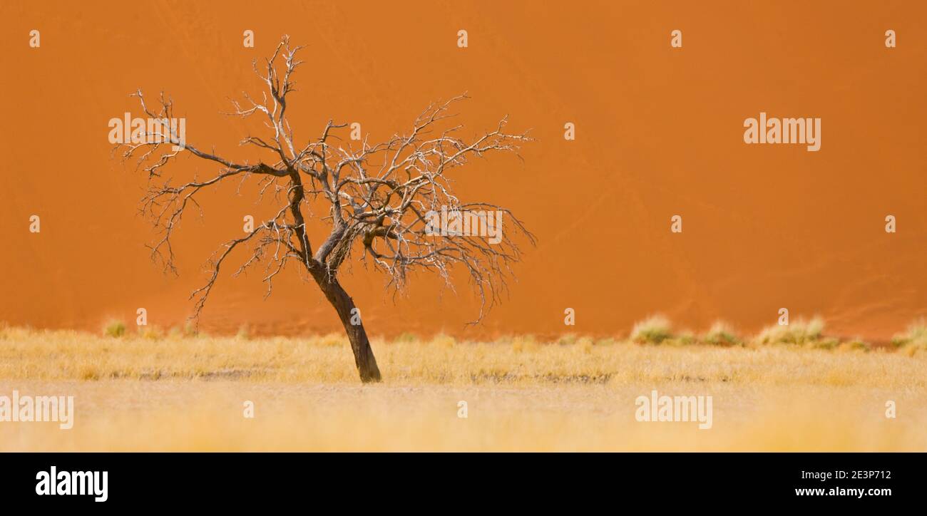 Duna 45 desierto namib namibia africa hi-res stock photography and ...