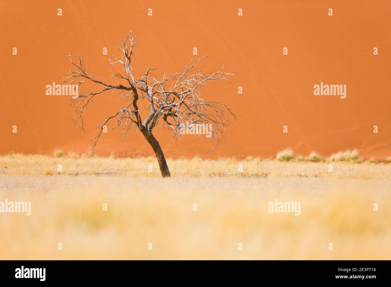 Duna 45 desierto namib namibia africa hi-res stock photography and ...