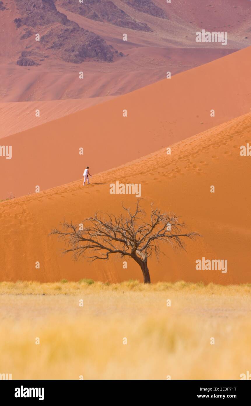Duna 45 desierto namib namibia africa hi-res stock photography and ...