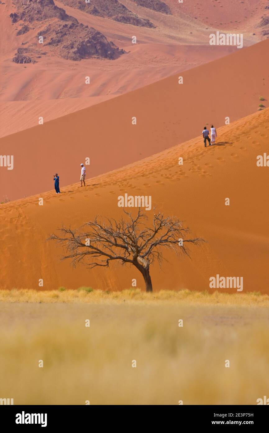 Duna 45 Desierto Namib Namibia Africa Stock Photo - Alamy
