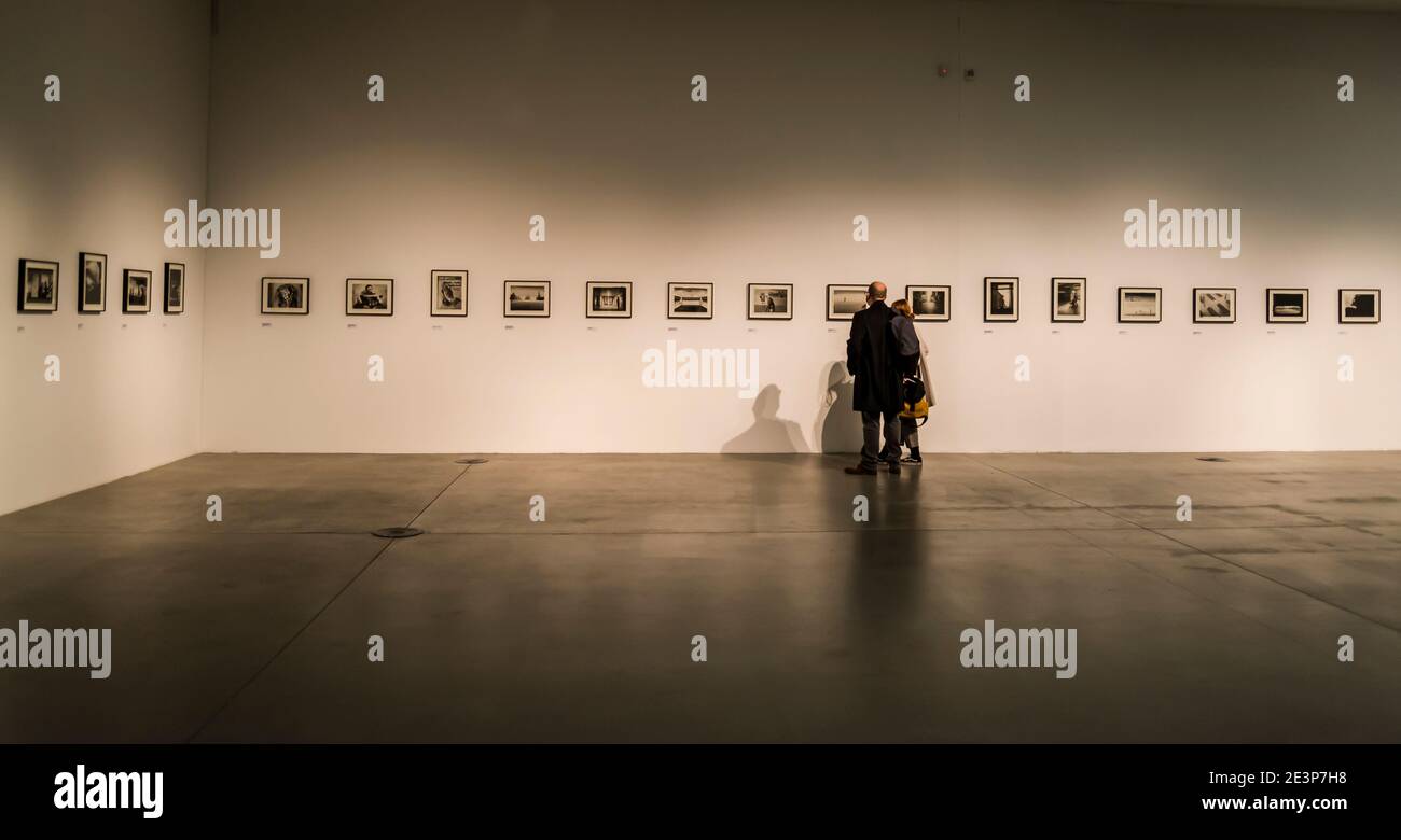 Radenko Milak exhibition of black and white drawings and paintings ...