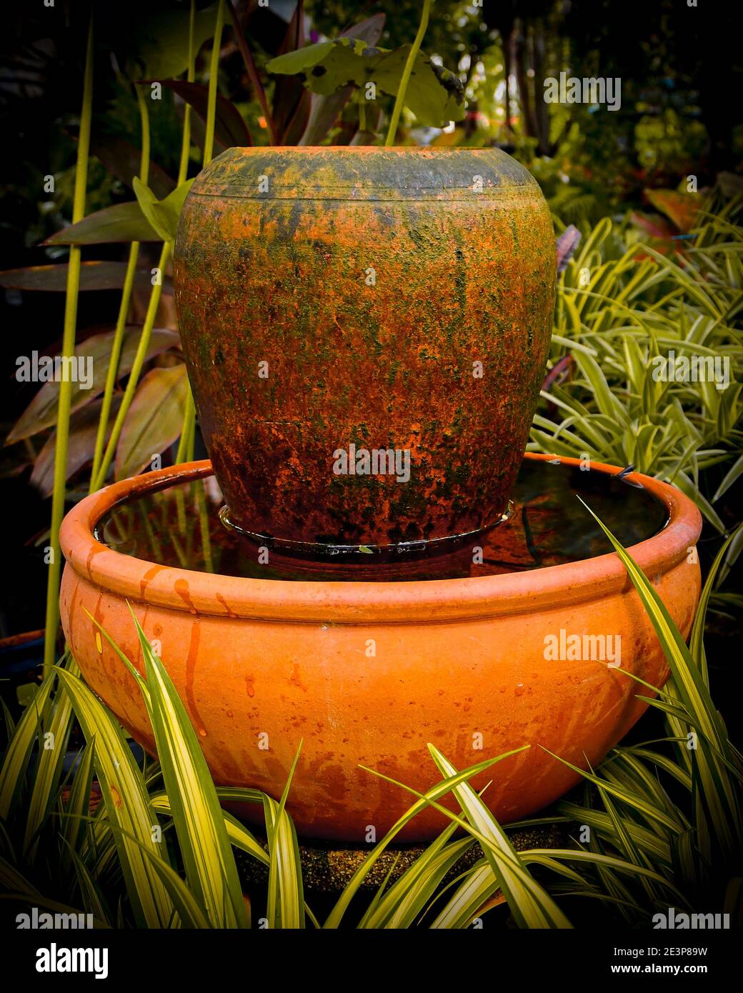 A large garden water feature with a lichen covered terracotta urn, in a ...