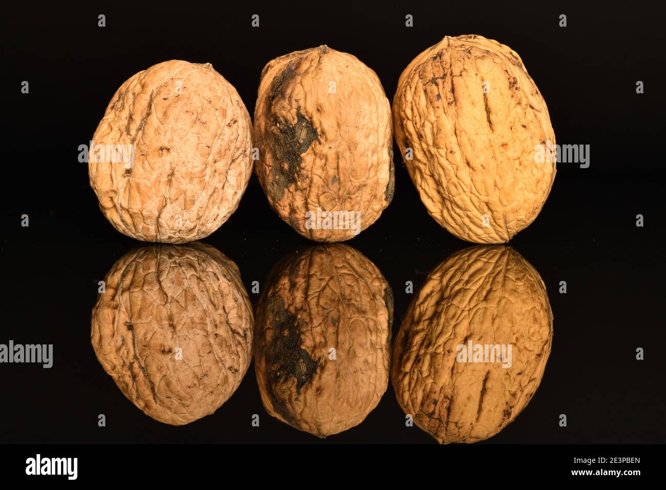 Chopped black walnuts hi-res stock photography and images - Alamy