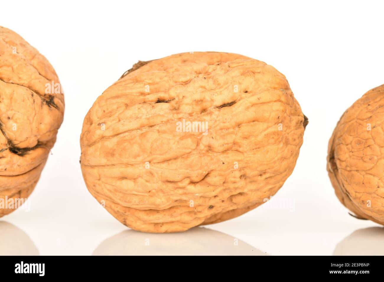 In the foreground, in focus, is a whole dark brown ripe natural walnut ...