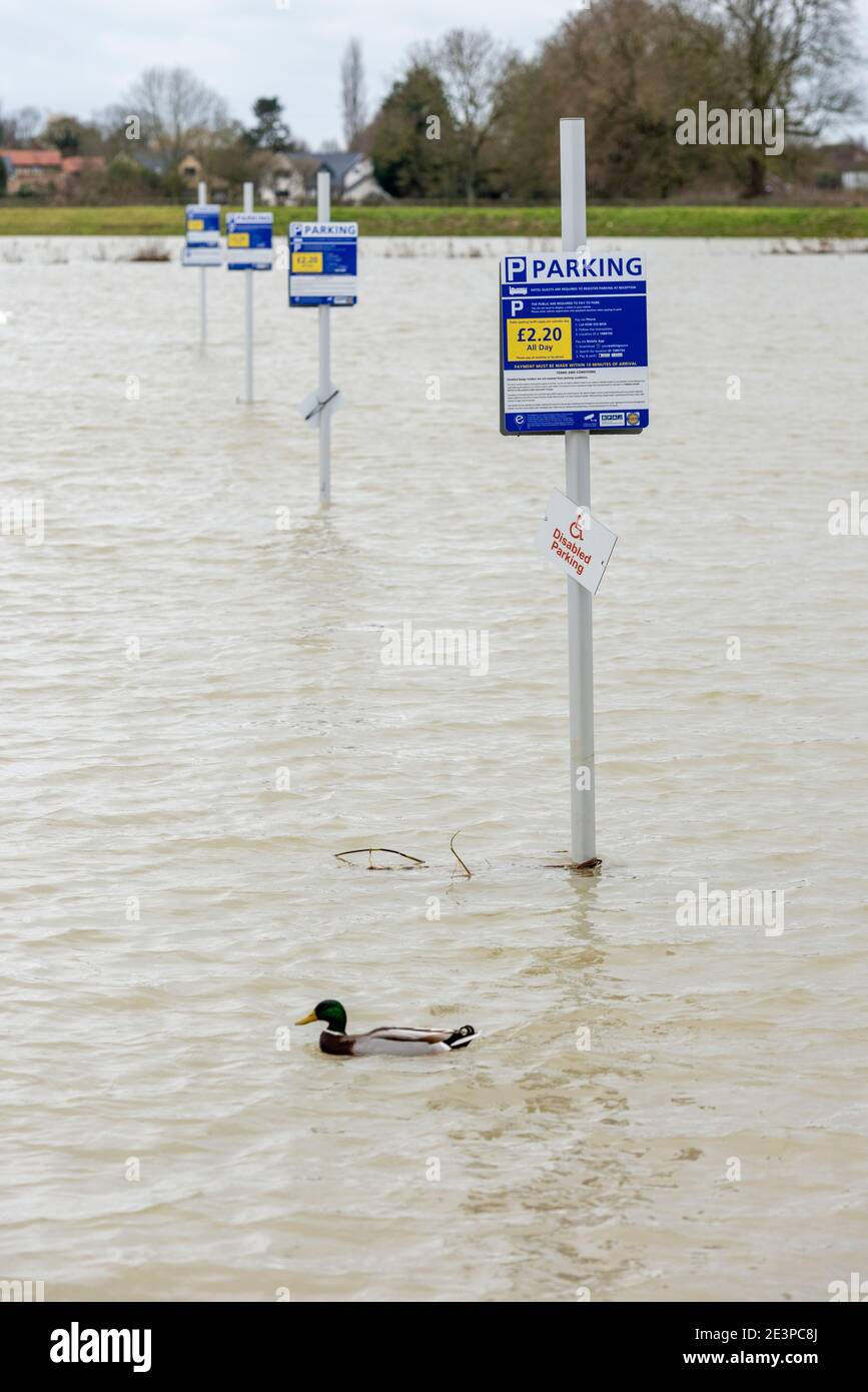 Flooding in st ives cambridgeshire hi-res stock photography and images ...