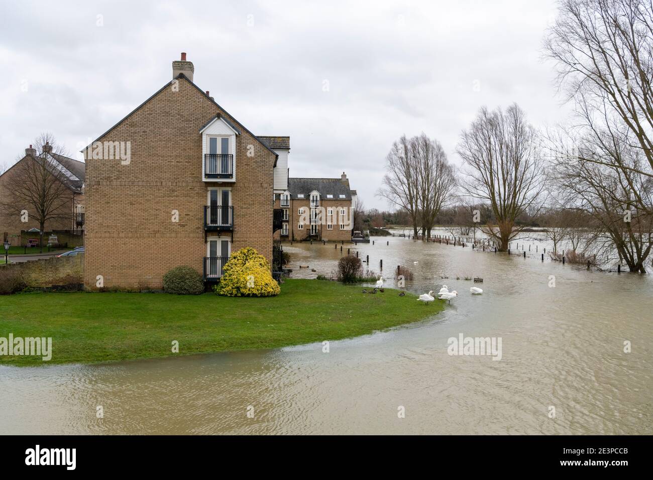 Flooding in st ives cambridgeshire hi-res stock photography and images ...