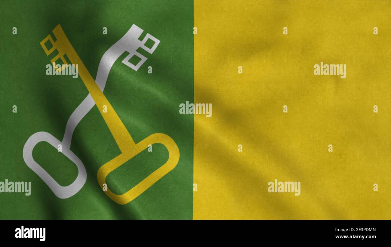 Toa Baja flag, city of Puerto Rico, waving in wind. 3d illustration ...