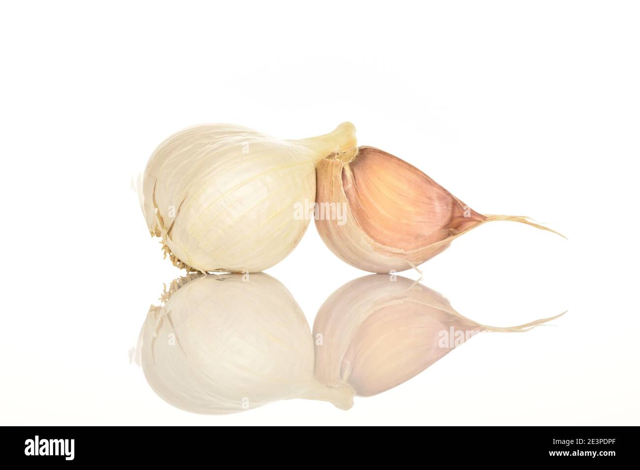 One whole head and one clove of spicy fresh aromatic garlic on a white ...