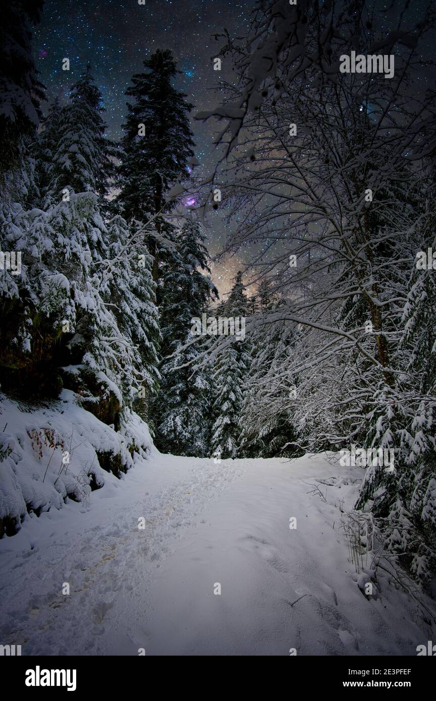 Hinterzarten schwarzwald hi-res stock photography and images - Alamy