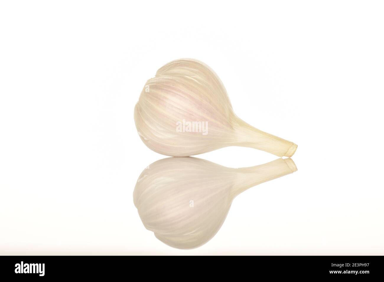 One whole organic flavorful head of garlic on a white background Stock ...
