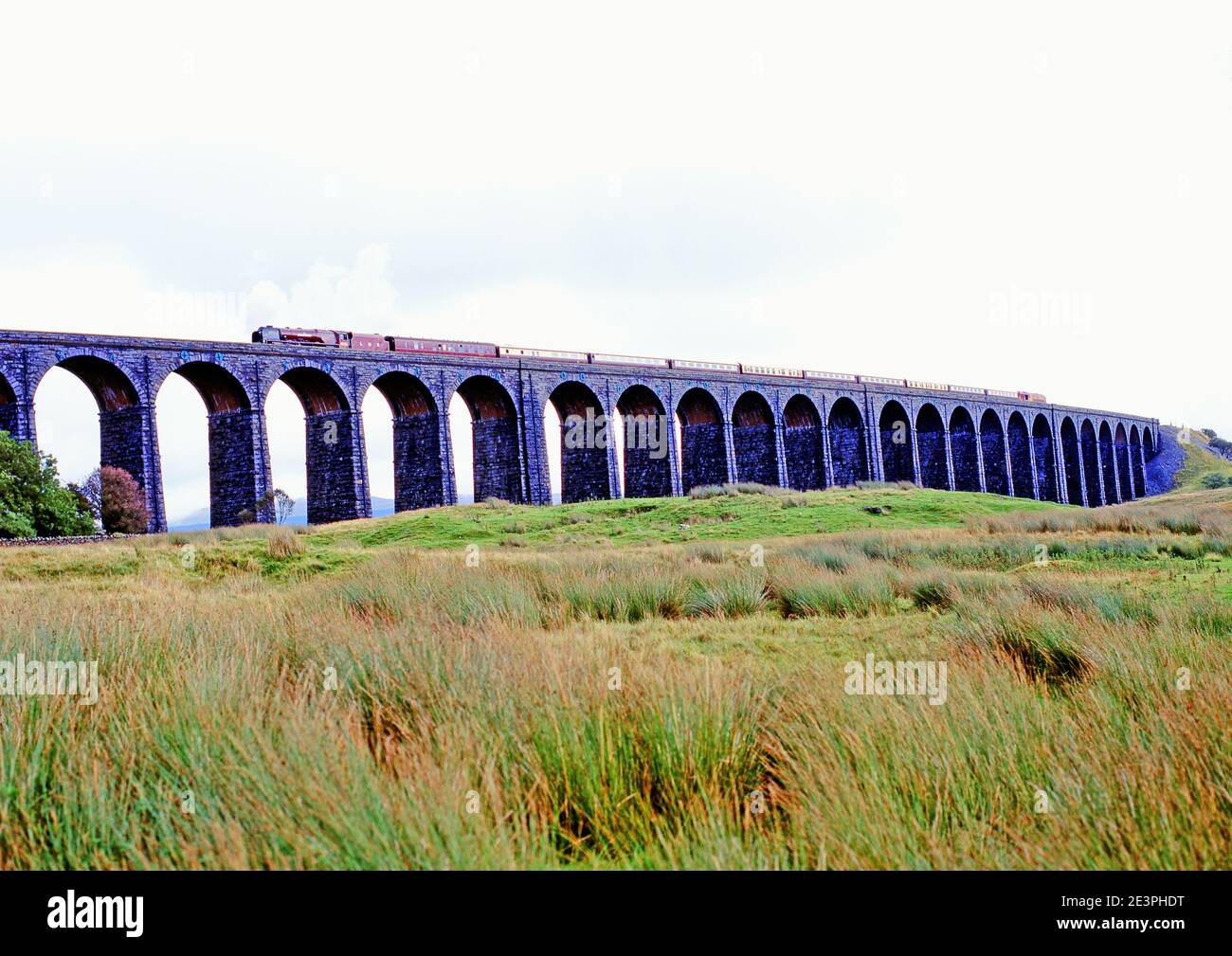 Coronation Class no 6233 Duchess of Sutherland over Ribblehead Viaduct ...