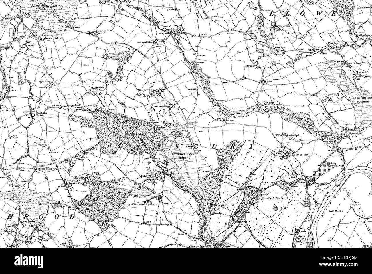 Map of Radnorshire OS Map name 036-SW, Ordnance Survey, 1888-1891 Stock ...
