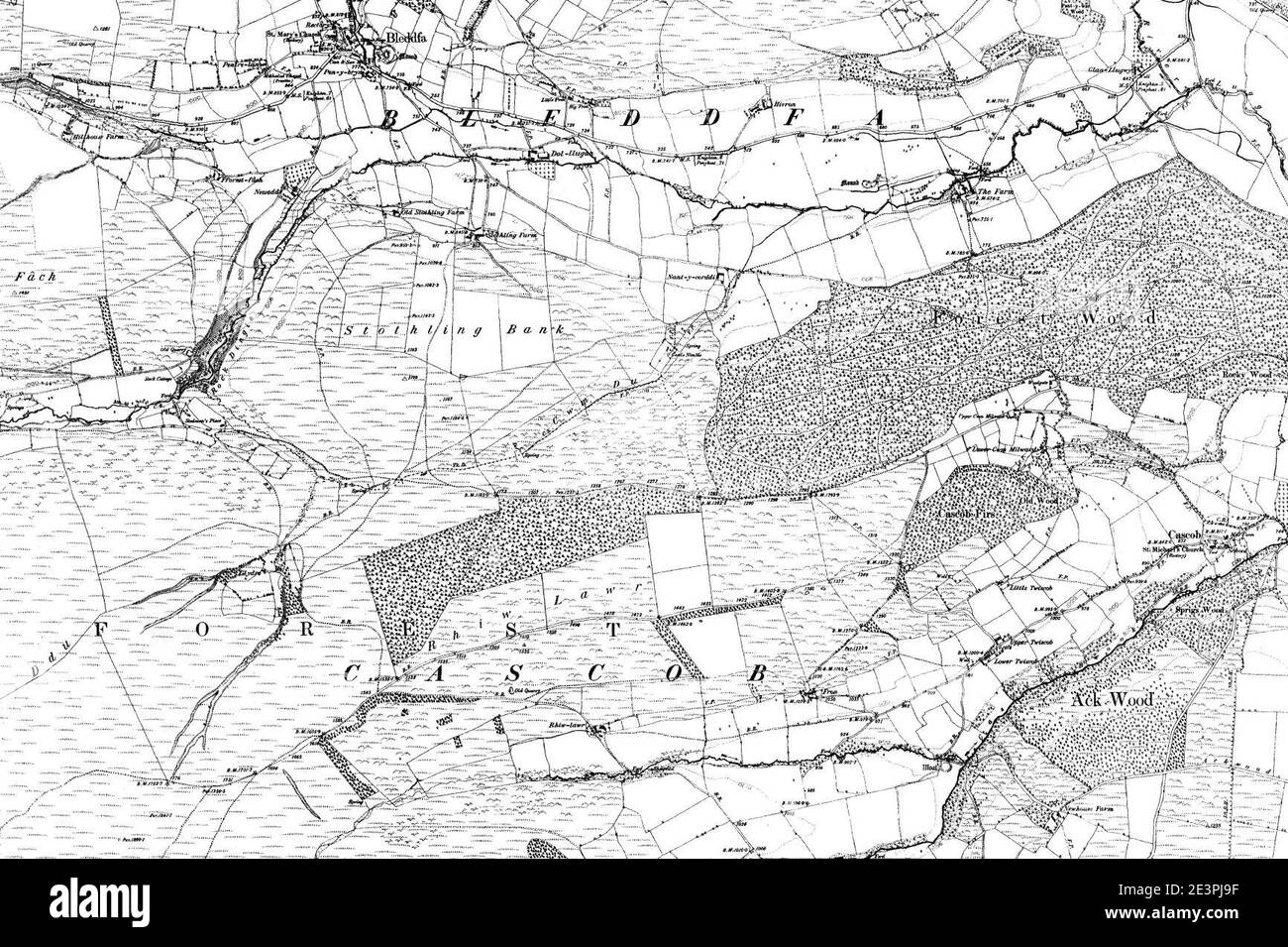 Map of Radnorshire OS Map name 017-SE, Ordnance Survey, 1888-1891 Stock ...
