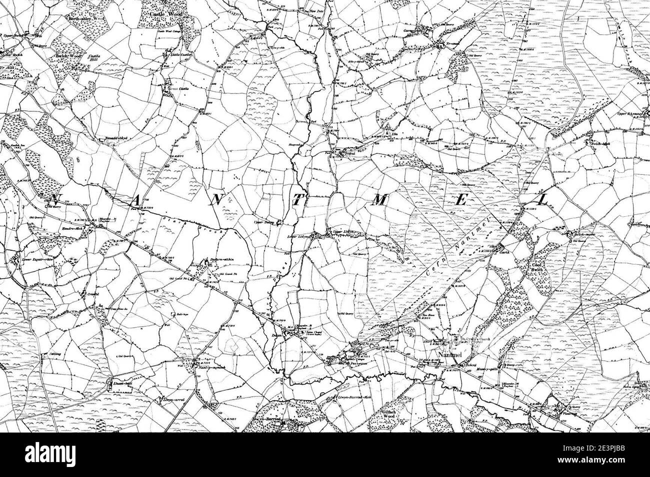 Map of Radnorshire OS Map name 015-SE, Ordnance Survey, 1888-1891 Stock ...